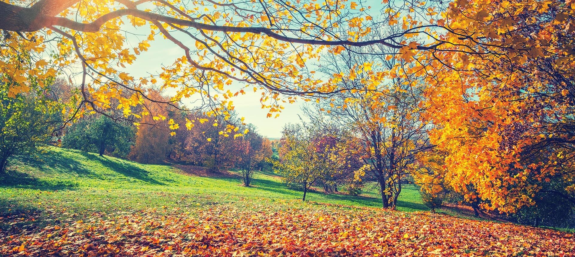 Les chiffres clés du gaz en France - FranceGaz